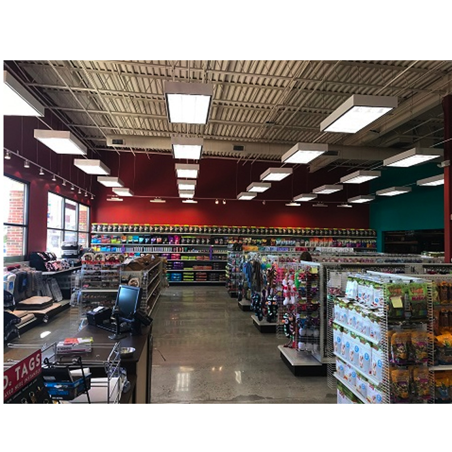 Petland Store Florence - Terrex Development & Construction